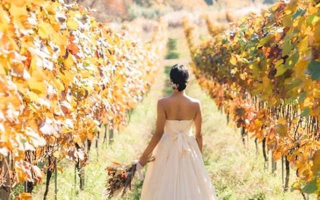 Blue Planet | サステナビリティ | KNT-CTホールディングス株式会社